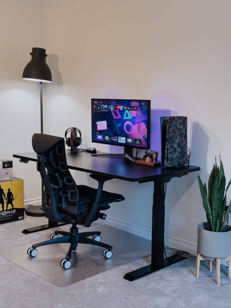 Flexispot E5 vs E7 Pro standing desk - Which gives you the Most Value ...